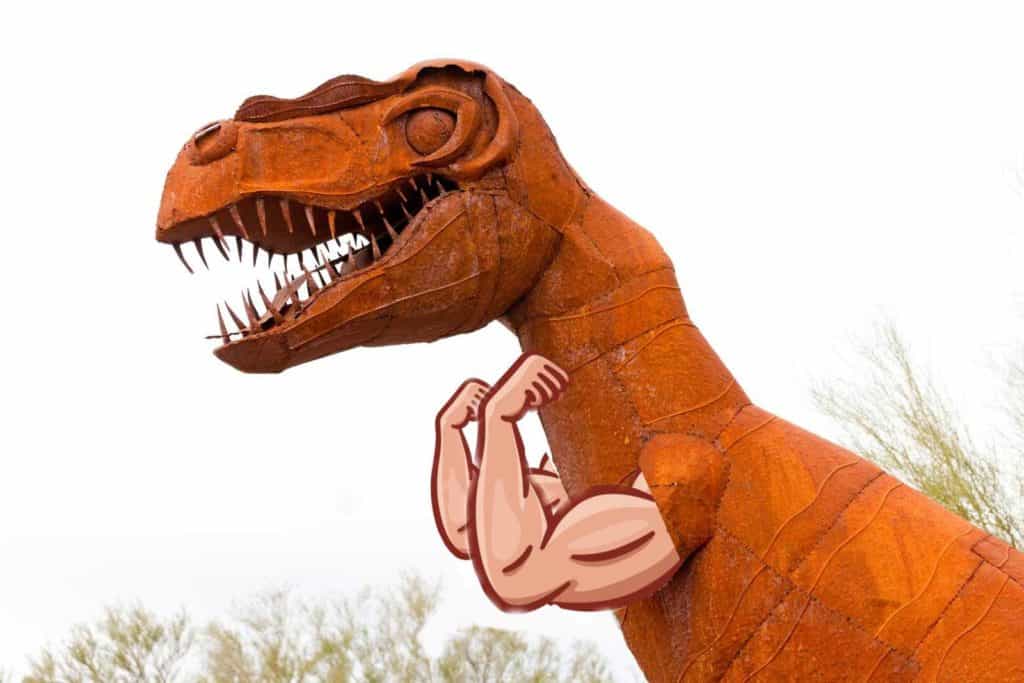 10 Ways to Cure T-Rex Arms After a Workout - Muscle And Recovery