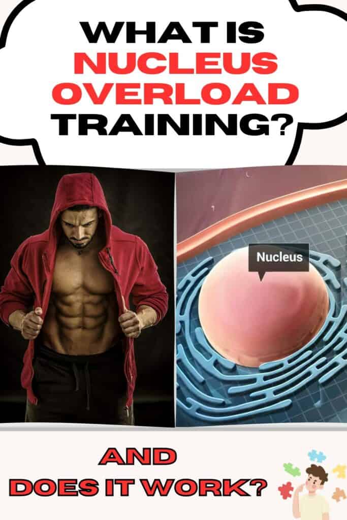 What is Nucleus Overload Training? Does it Work? - Muscle And Recovery