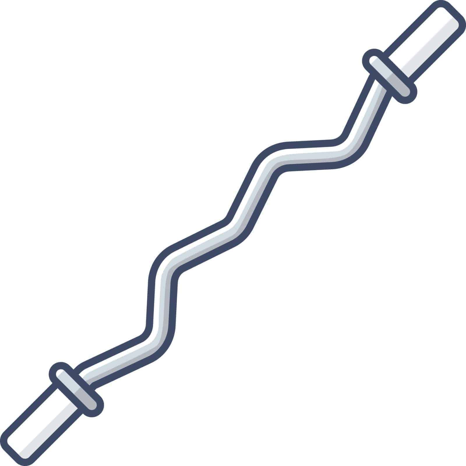 Tricep Bar (Hammer Curl Bar) vs EZ Curl Bar - Muscle And Recovery