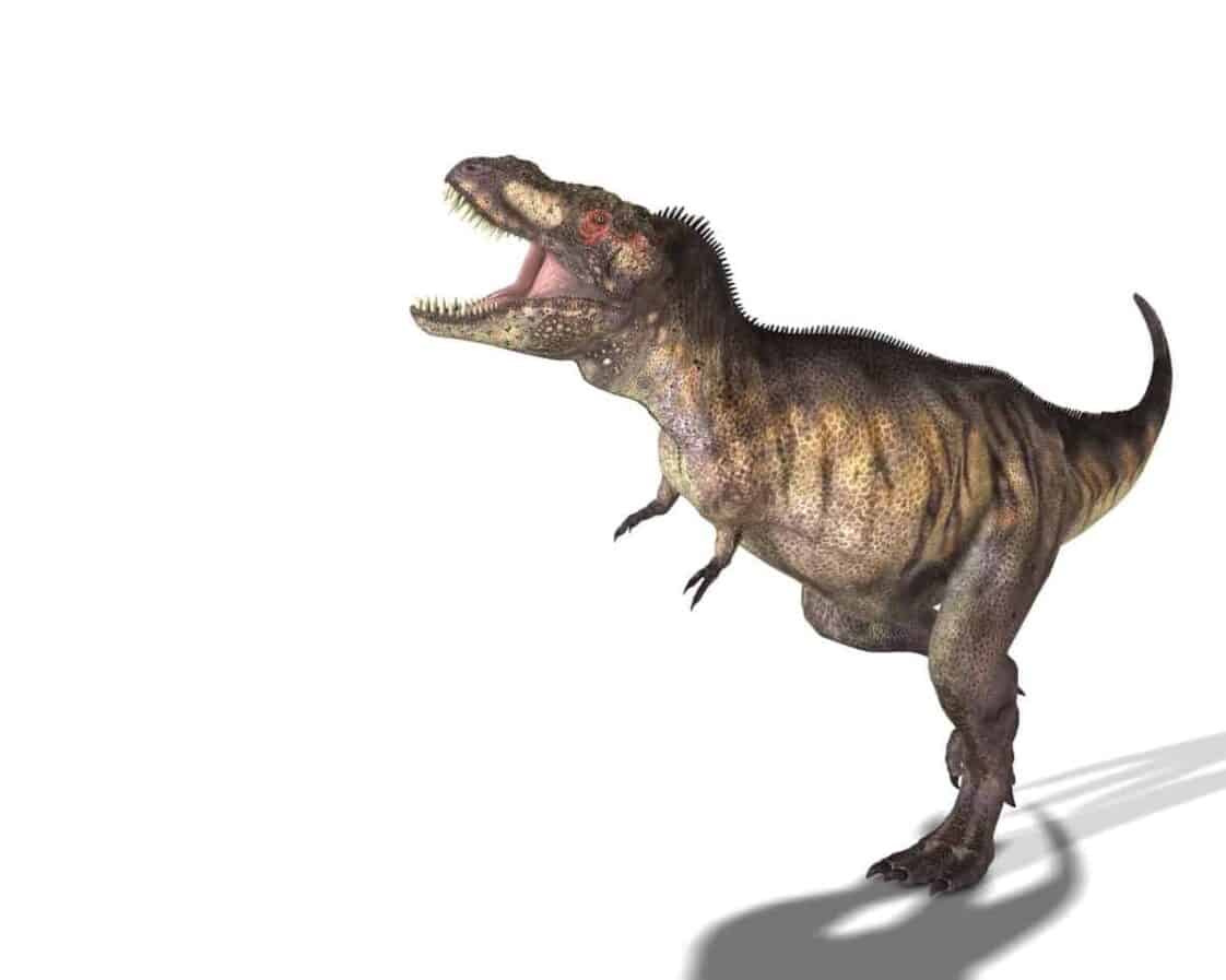 10 Ways to Cure T-Rex Arms After a Workout - Muscle & Recovery