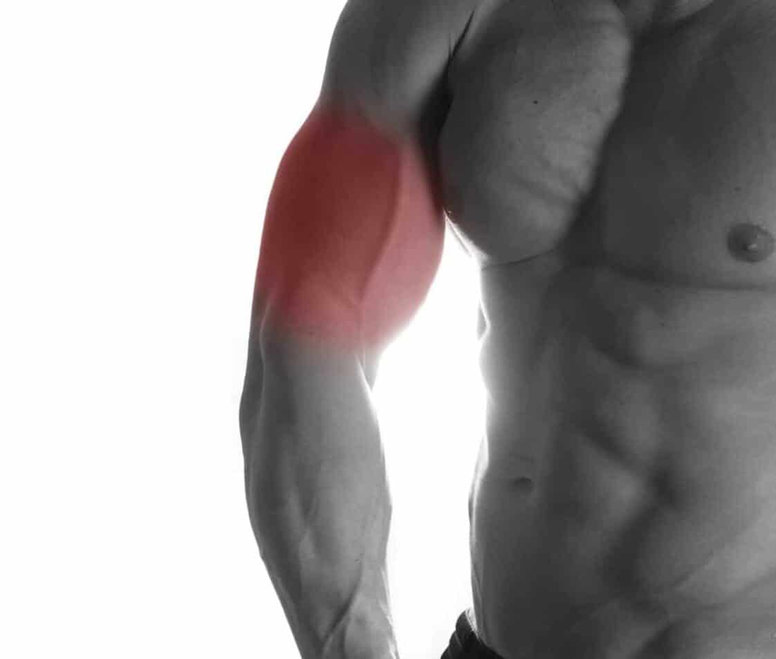 10 Ways to Cure T-Rex Arms After a Workout - Muscle & Recovery